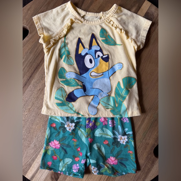 Bluey | Matching Sets | Bluey Fooral Summer Ruffle Outfit | Poshmark